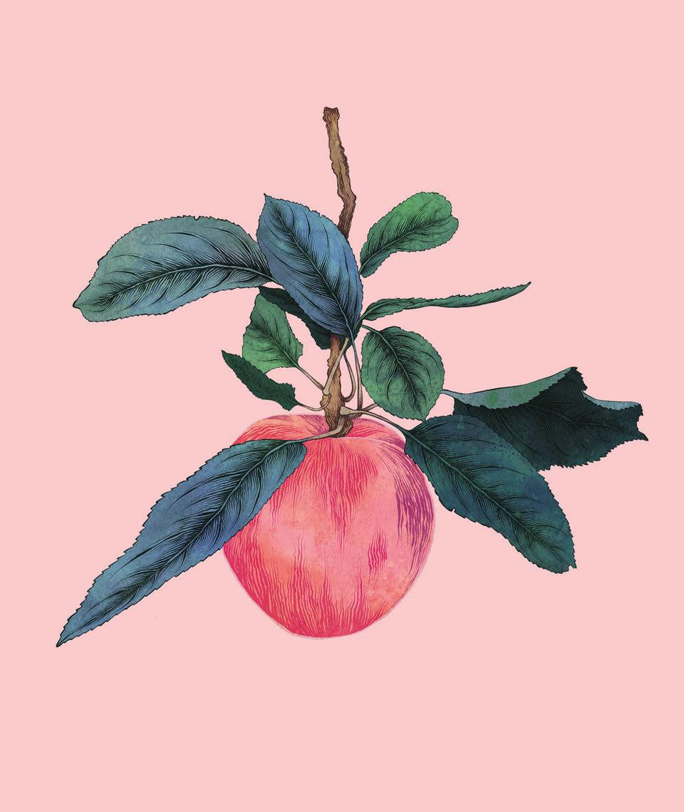 Sip of the Month: Apple Smash | Helene Clarkson Design